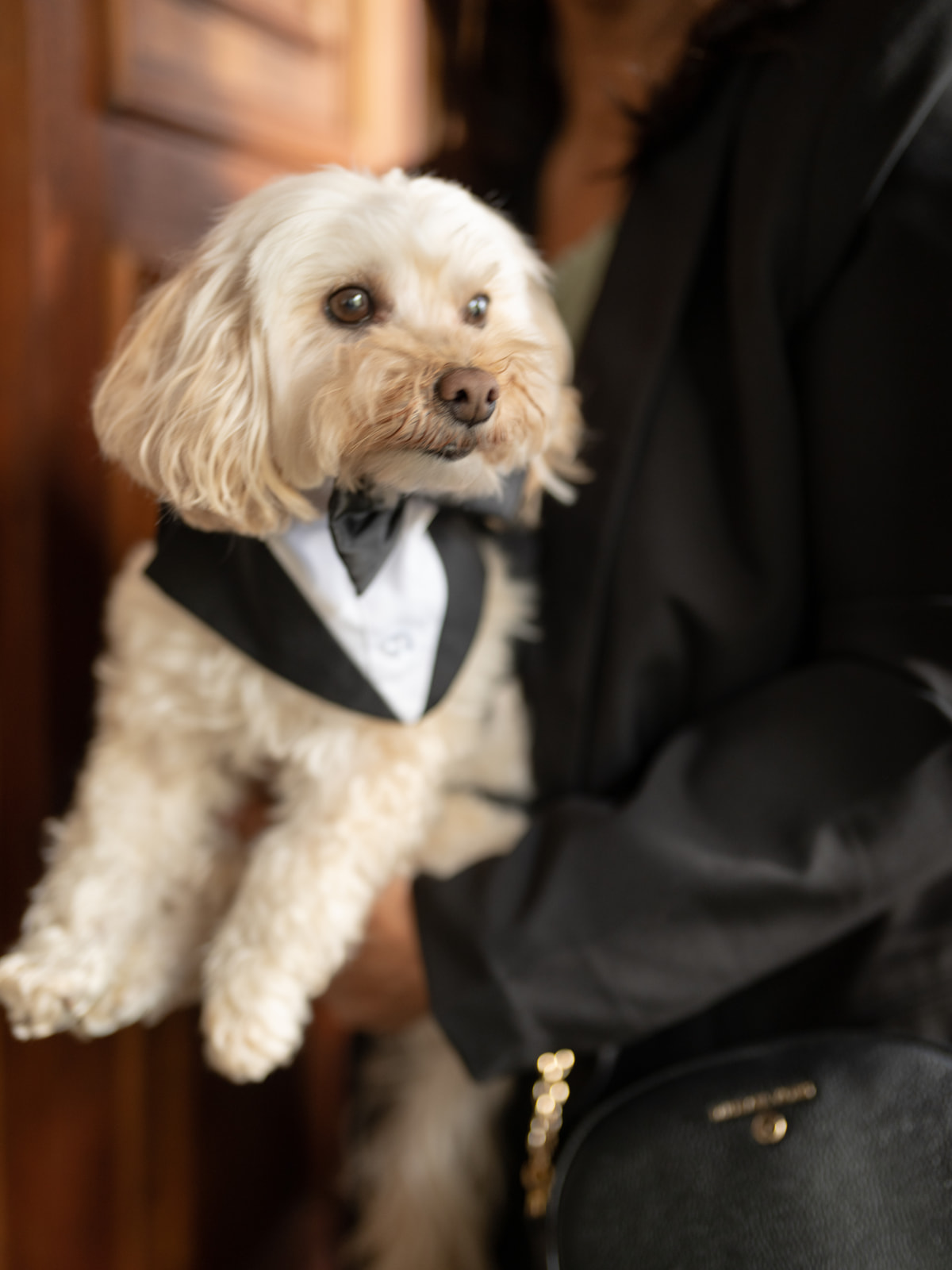 Singer-Songwriter Chloe Stroll and Olympic Snowboarder Scotty James’s ...